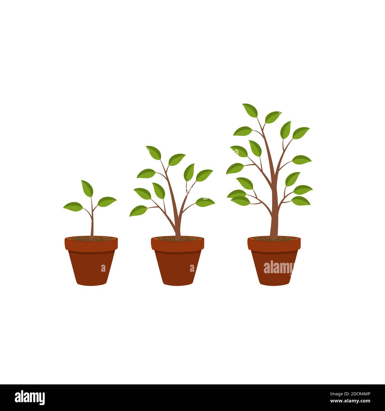 Abstract Flat Nature Plants Growth Graphic Design Background ...