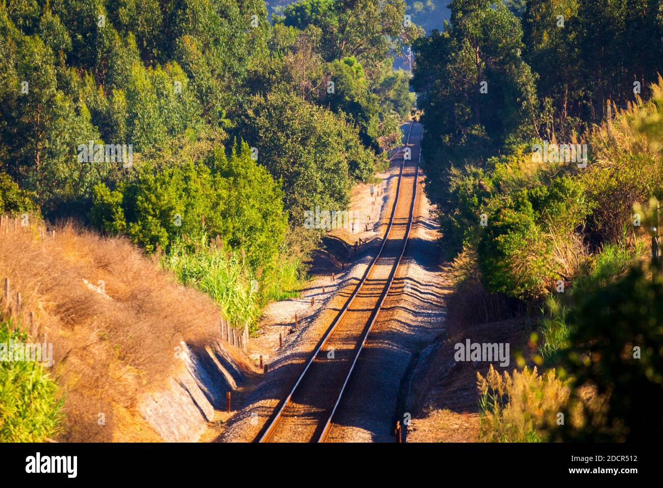 Scenic railroad in remote rural area in Europe Stock Photo - Alamy