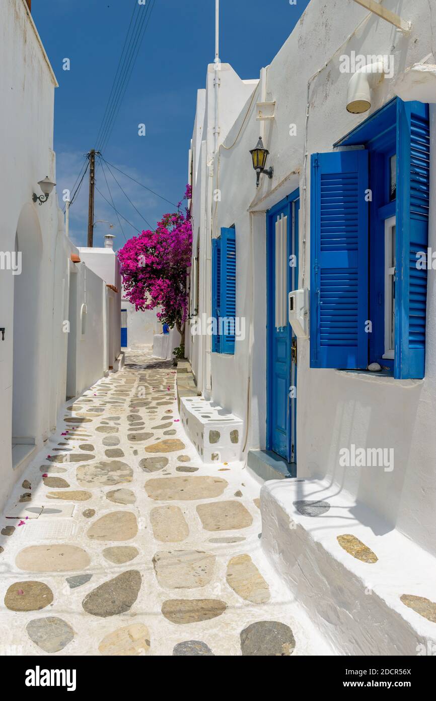 Picturesque alley in Prodromos Paros greek island with a full blooming ...