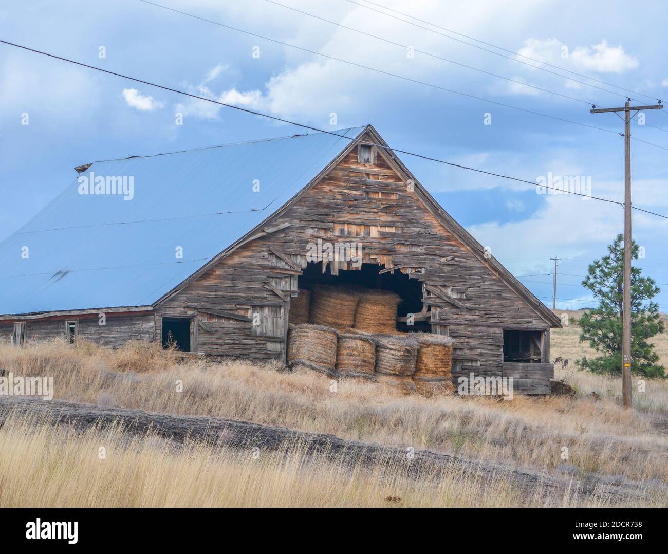 A Rustic Barn full of Rolled Hay stored for the livestock on a farm in ...