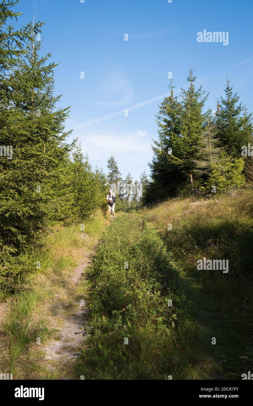 Hiking path in the Teutoburg Forest, Germany Stock Photo - Alamy