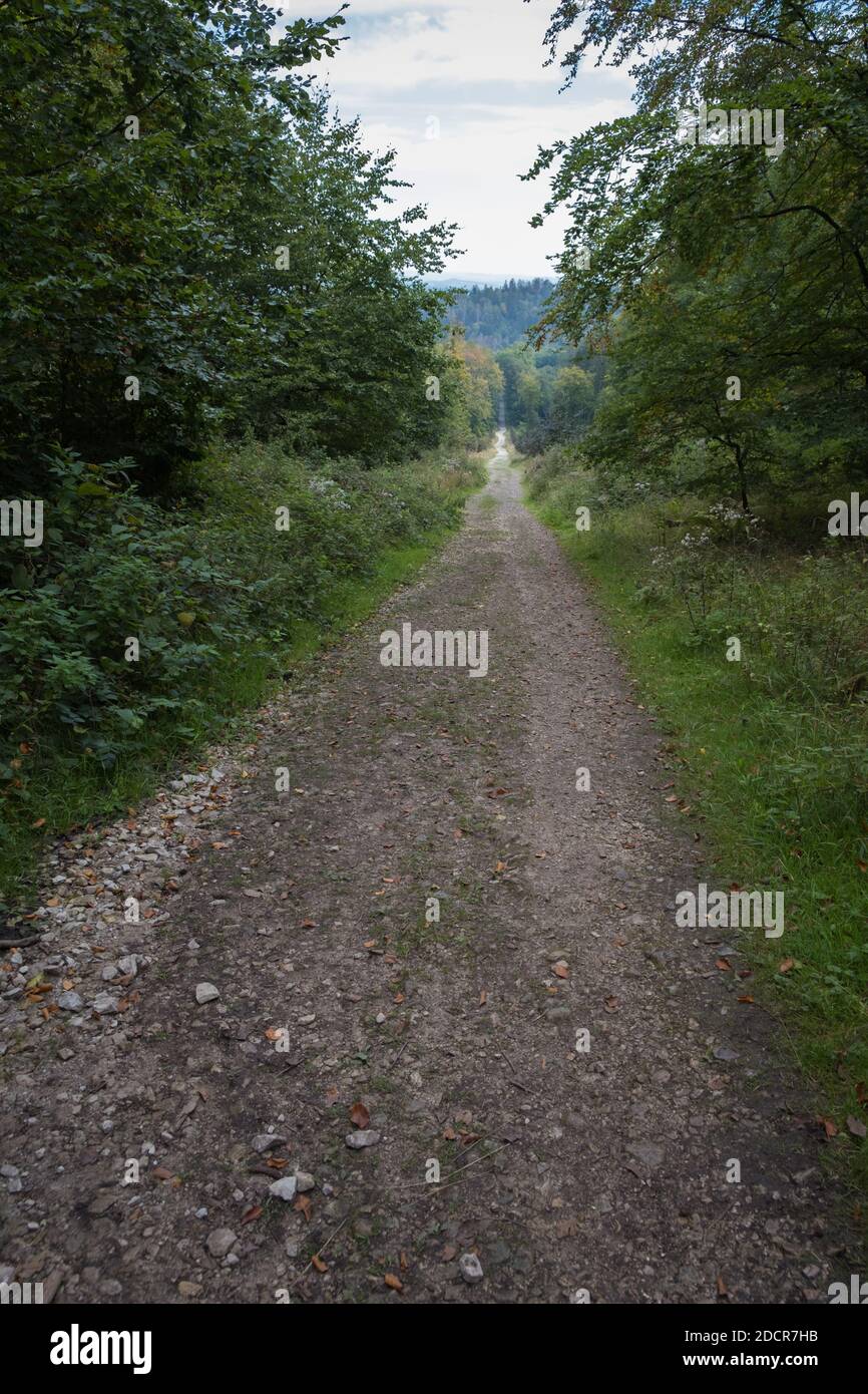 Hiking path in the Teutoburg Forest, Germany Stock Photo - Alamy