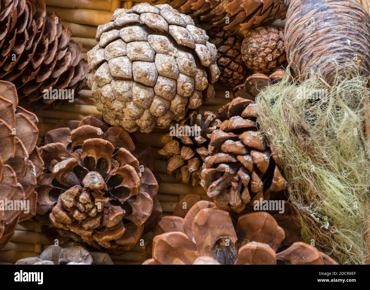 different shapes and types of cones in a wicker basket, preparing for ...