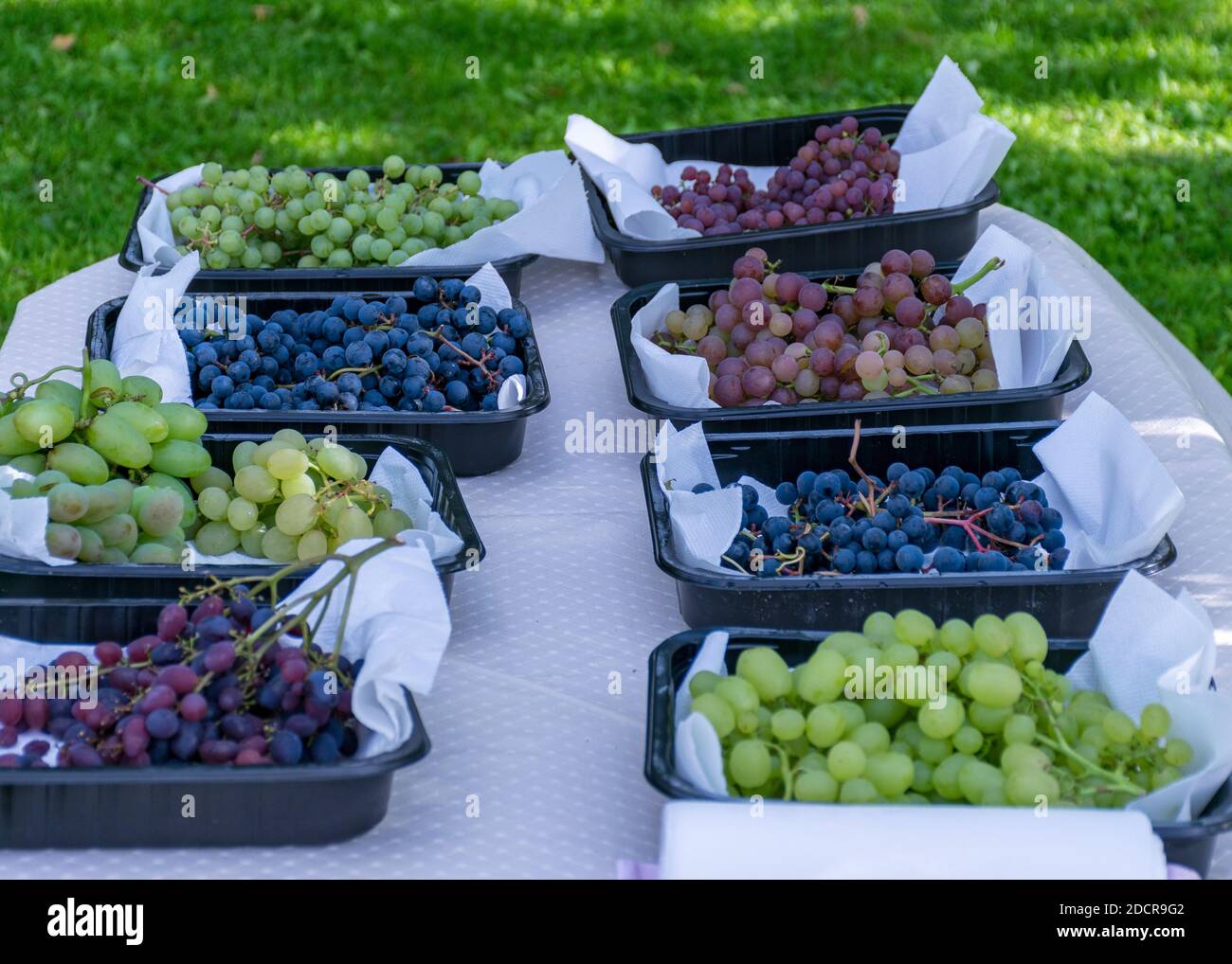 picture with grapes of different shapes and colors on the table, grape ...