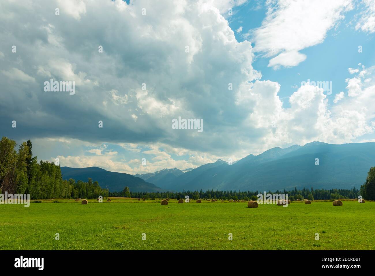 Haystacks in a farm field in rural British Columbia, Canada Stock Photo ...