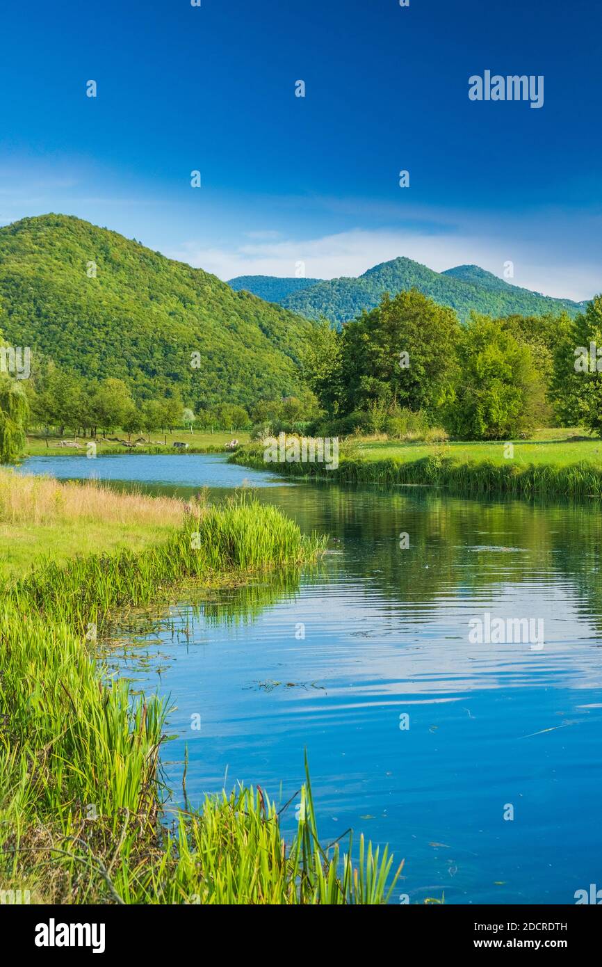 Beautiful Gacka river in Lika region of Croatia, nature landscape Stock ...