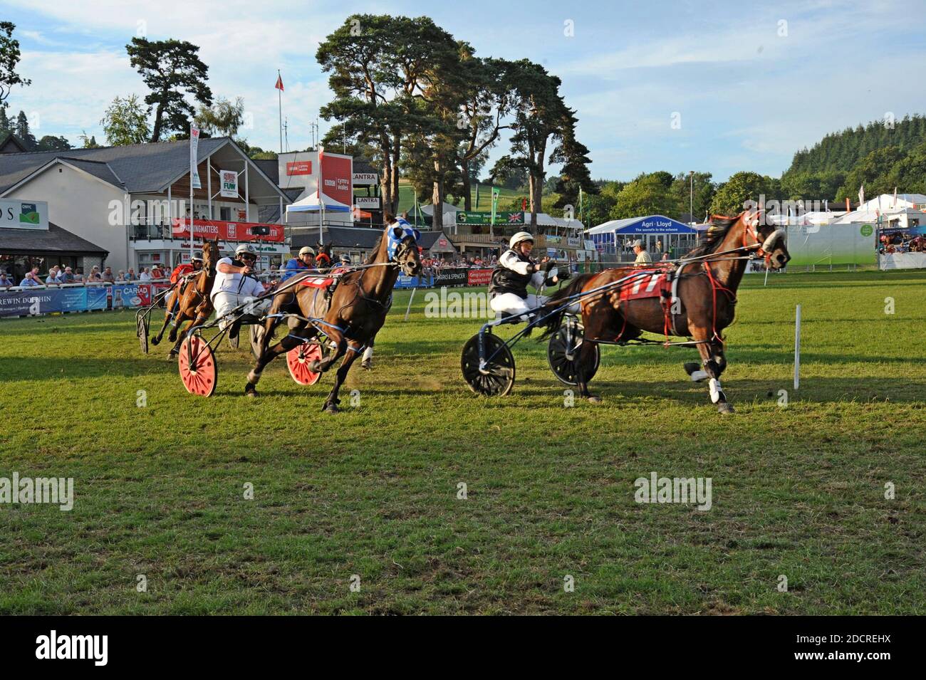 Jockeys and horses compete in trotting harness races at the Royal Welsh ...