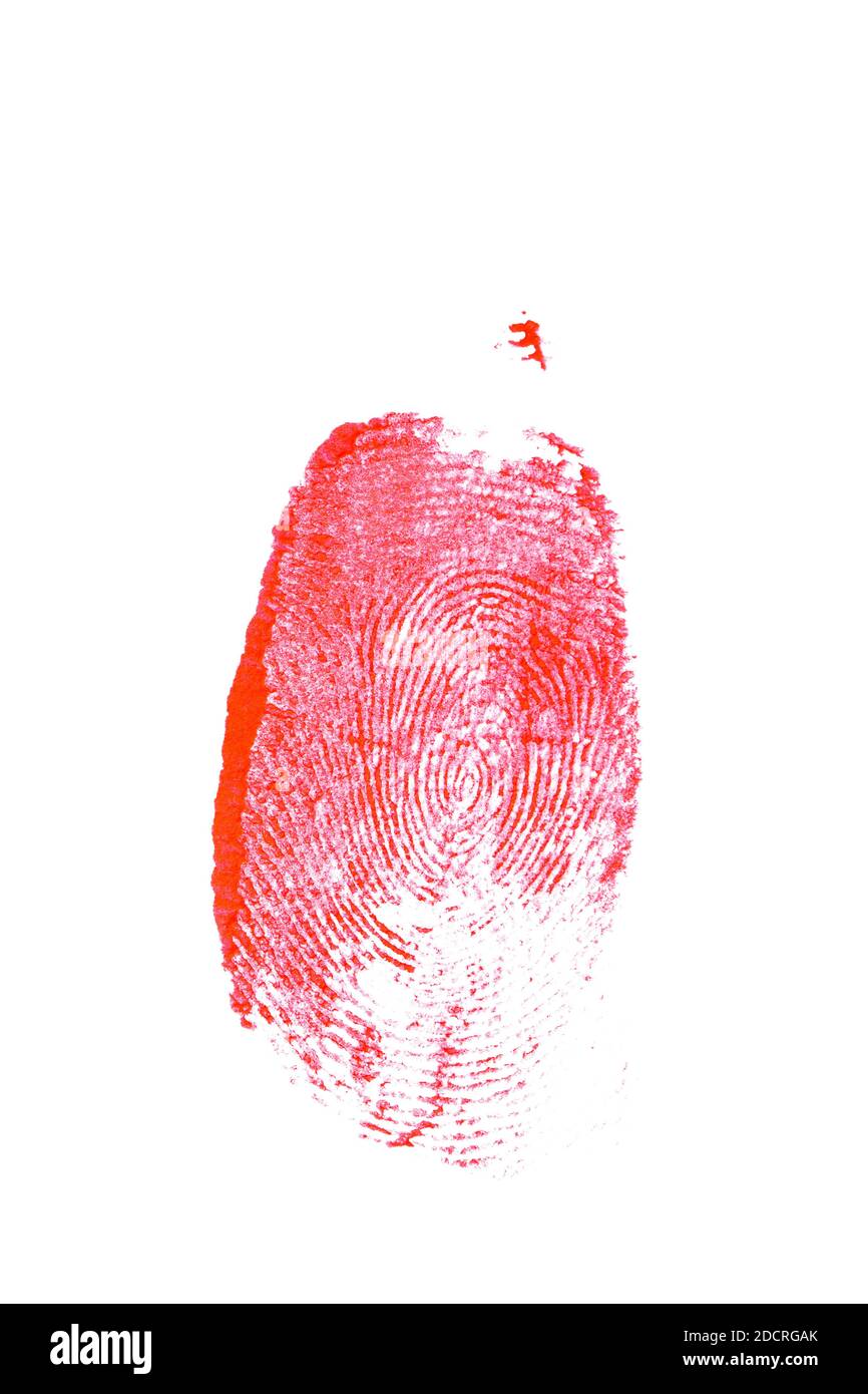 bloody fingerprint isolated on a white Stock Photo - Alamy