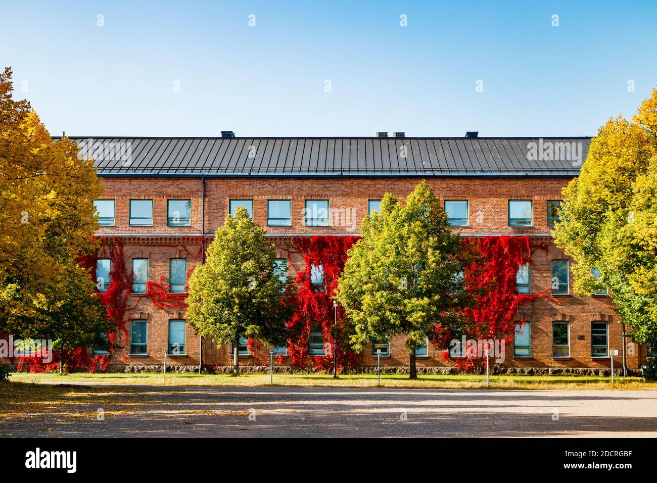Autumnal view of red brick building covered by red foliage of ...
