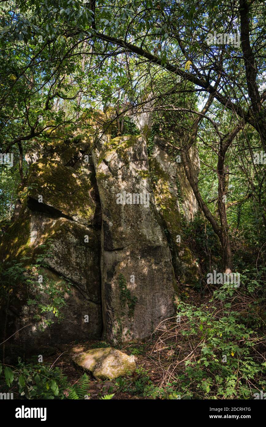 View on a illuminated overgrown rock wall in a forest in Summer Stock ...