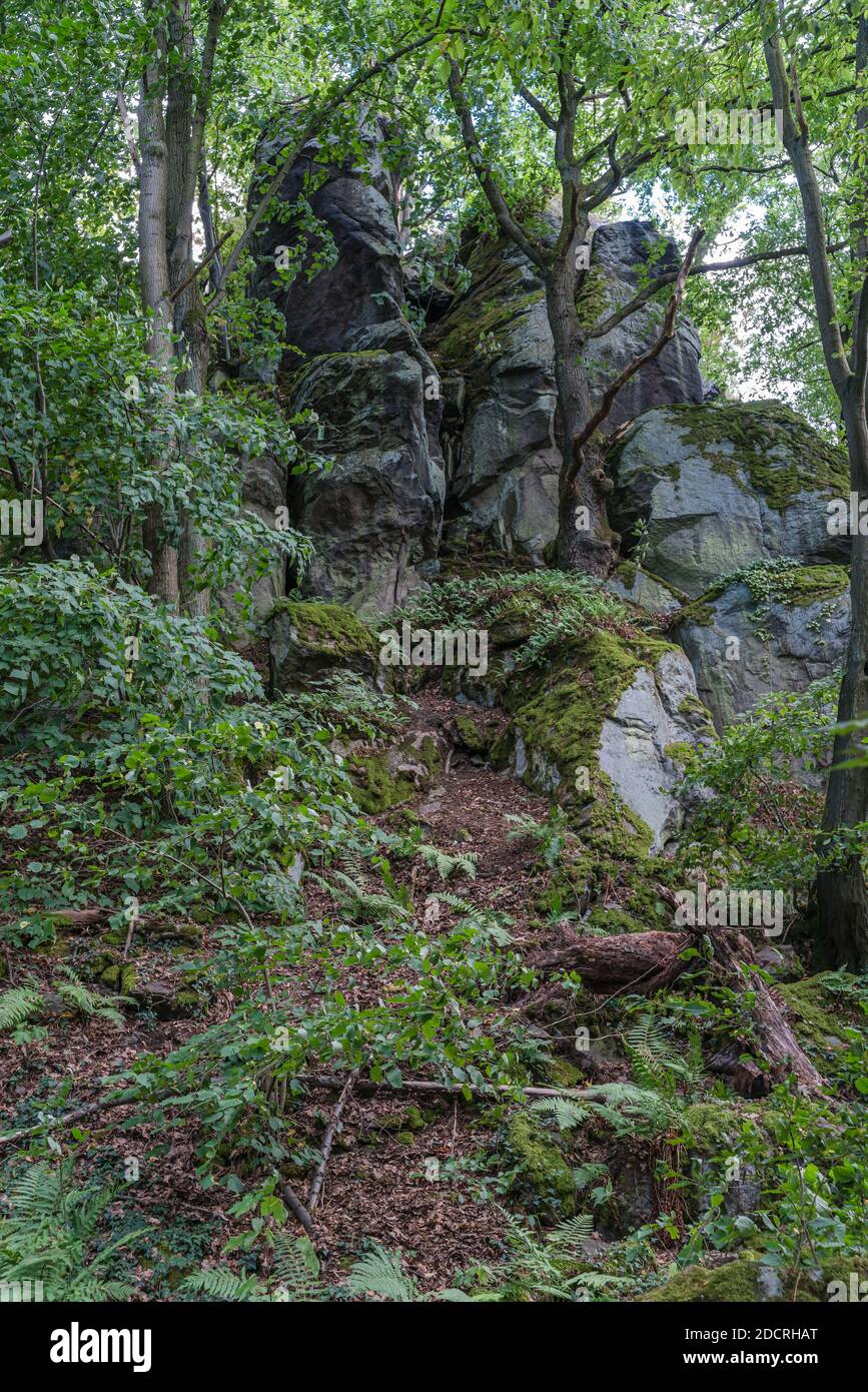 View up to an overgrown rock wall in a forest in Summer Stock Photo - Alamy