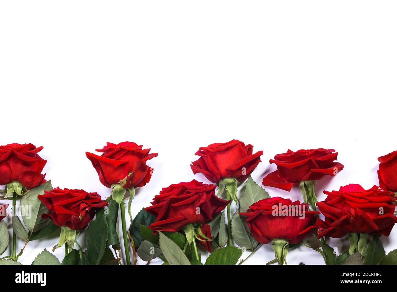 Red roses border frame isolated on white background, Valentine's Day ...