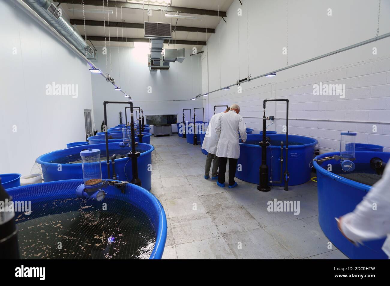 Indoor Aquaculture Tanks