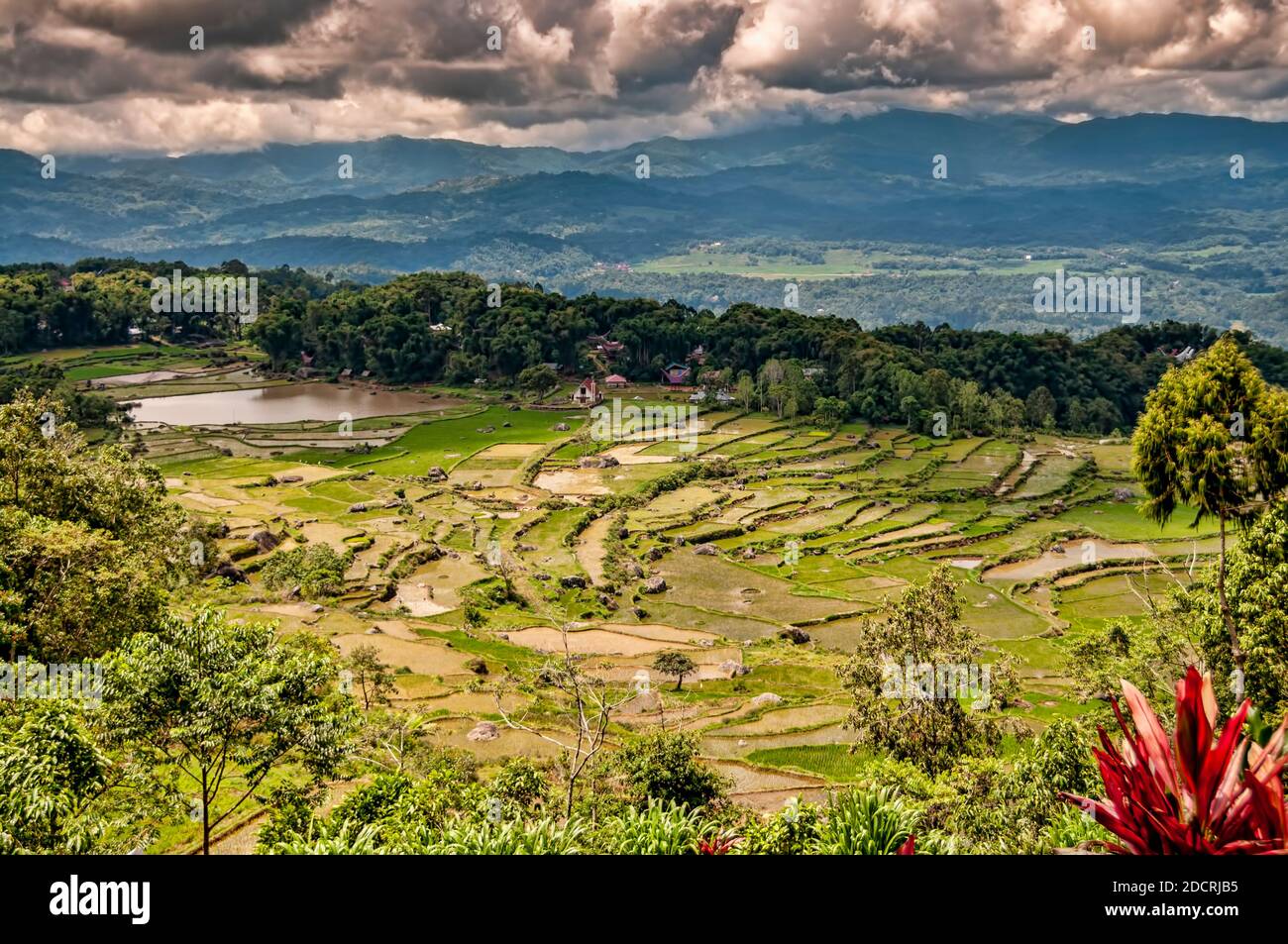 Rice fields and village in Batutumonga, Tana Toraja, South Sulawesi ...