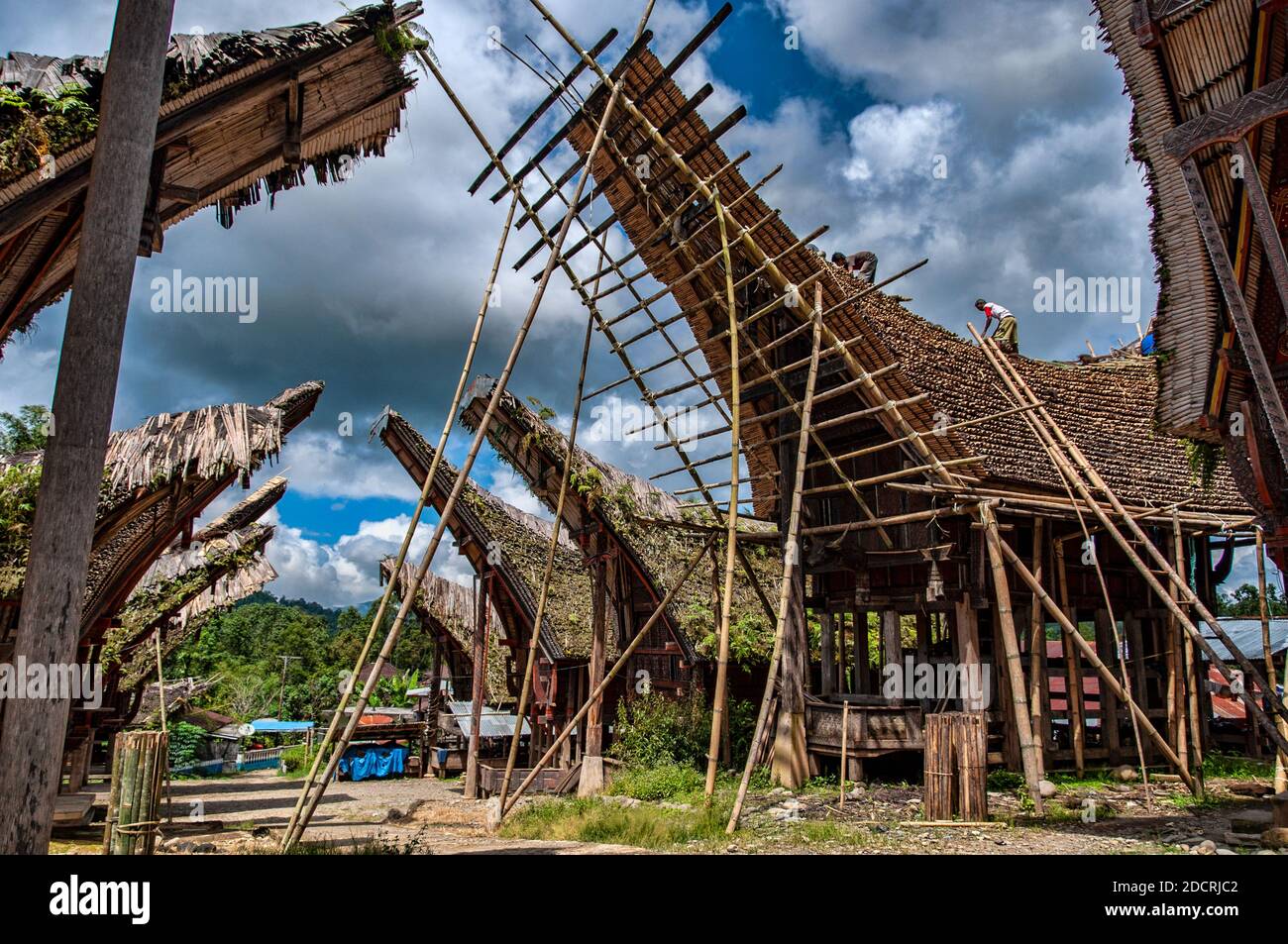 Traditional village tana toraja hi-res stock photography and images - Alamy