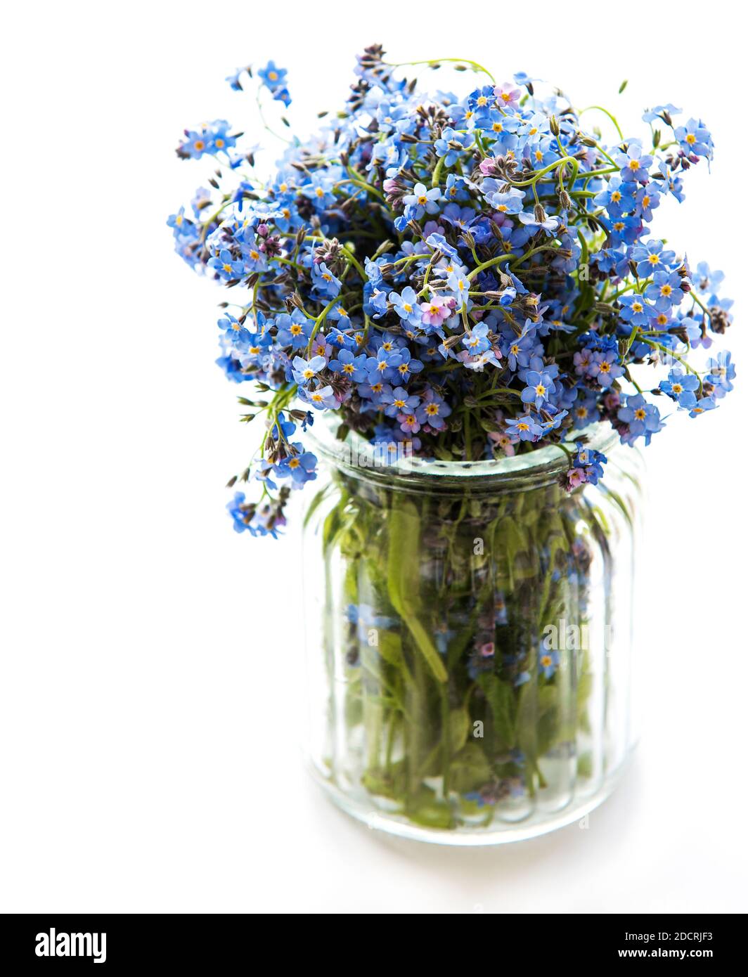 Bouquet of forget-me-not flowers in glass vase Stock Photo - Alamy