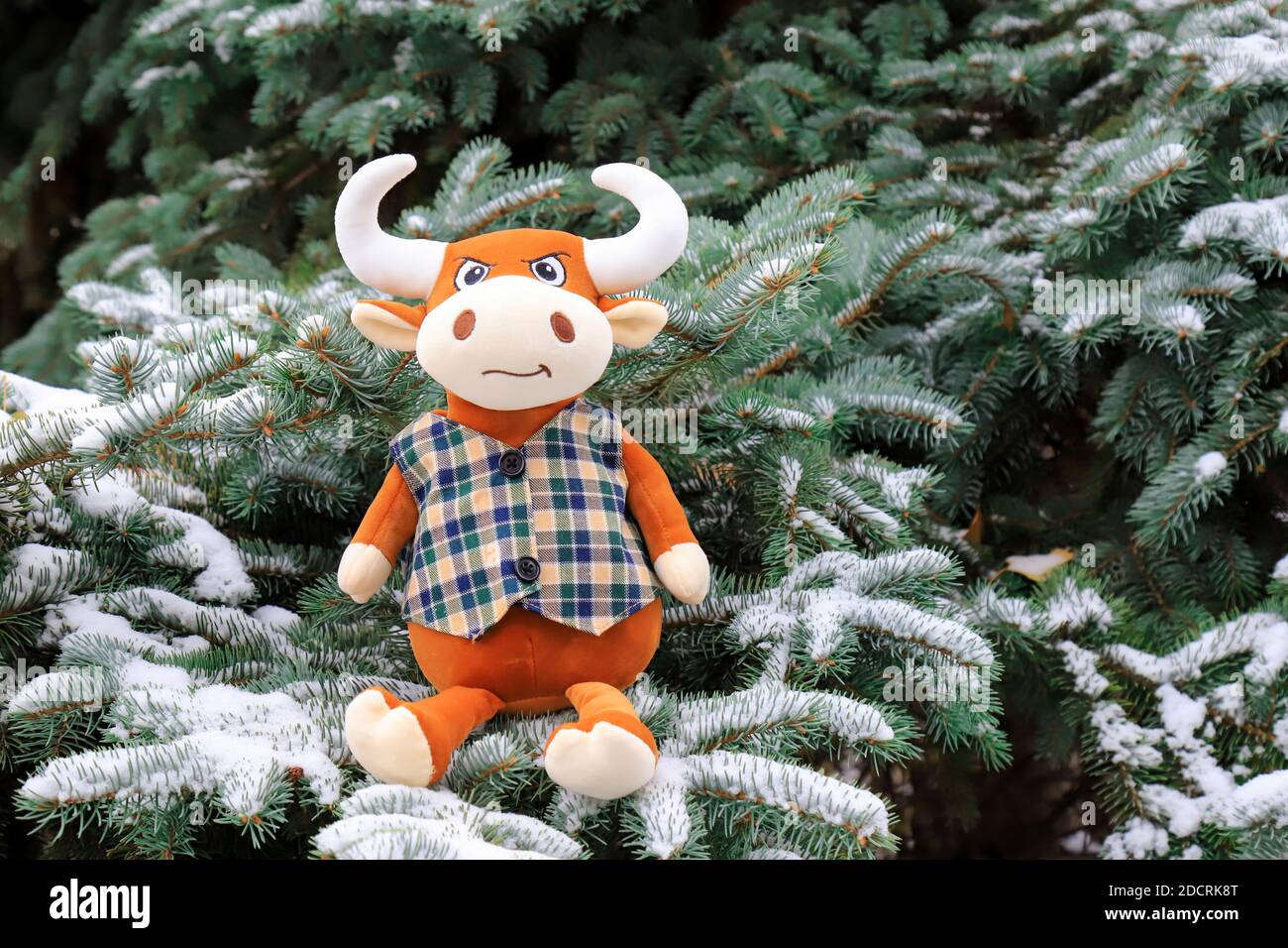 A funny toy orange Bull sits on a snow covered Christmas tree in the ...