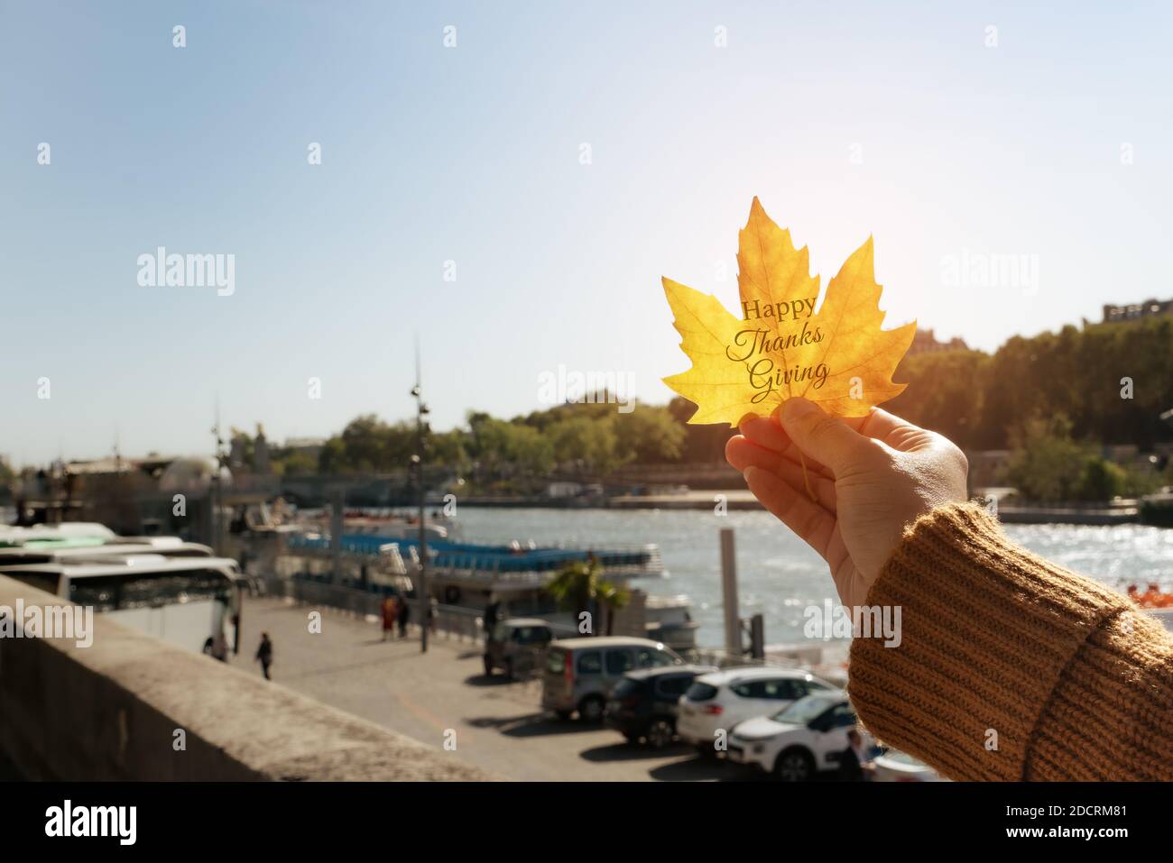 Happy Thanksgiving Day with Maple leave on woman hand and text Stock ...