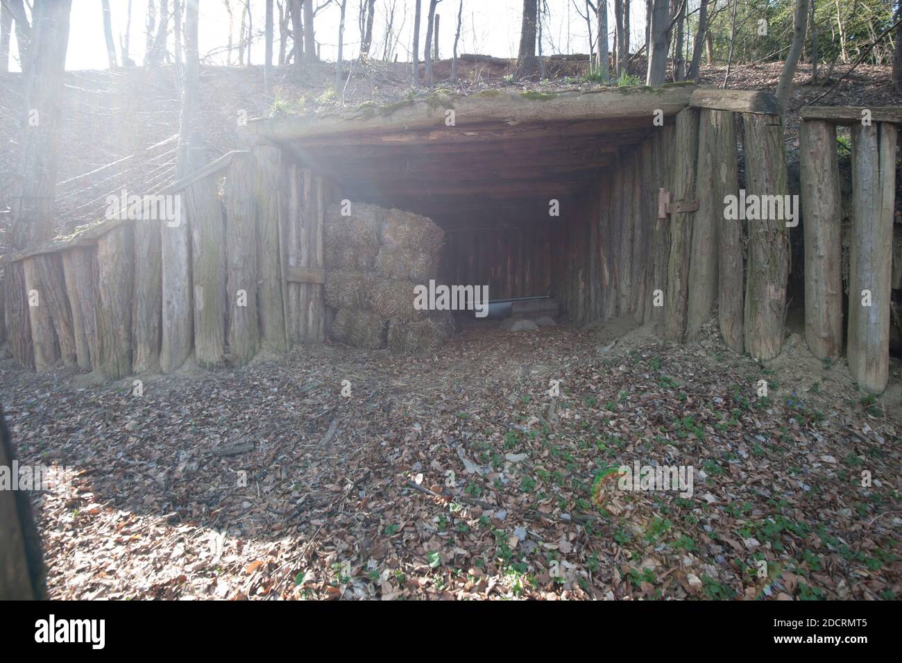 earth staple in wood construction, futuristic and experimental building ...