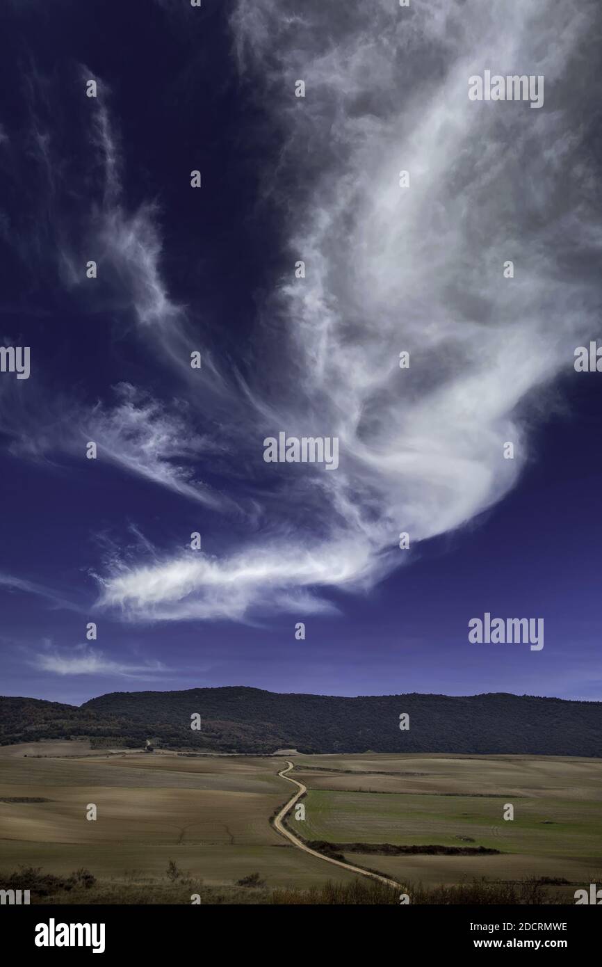 Countryside landscape with blue sky, environment and nature Stock Photo ...