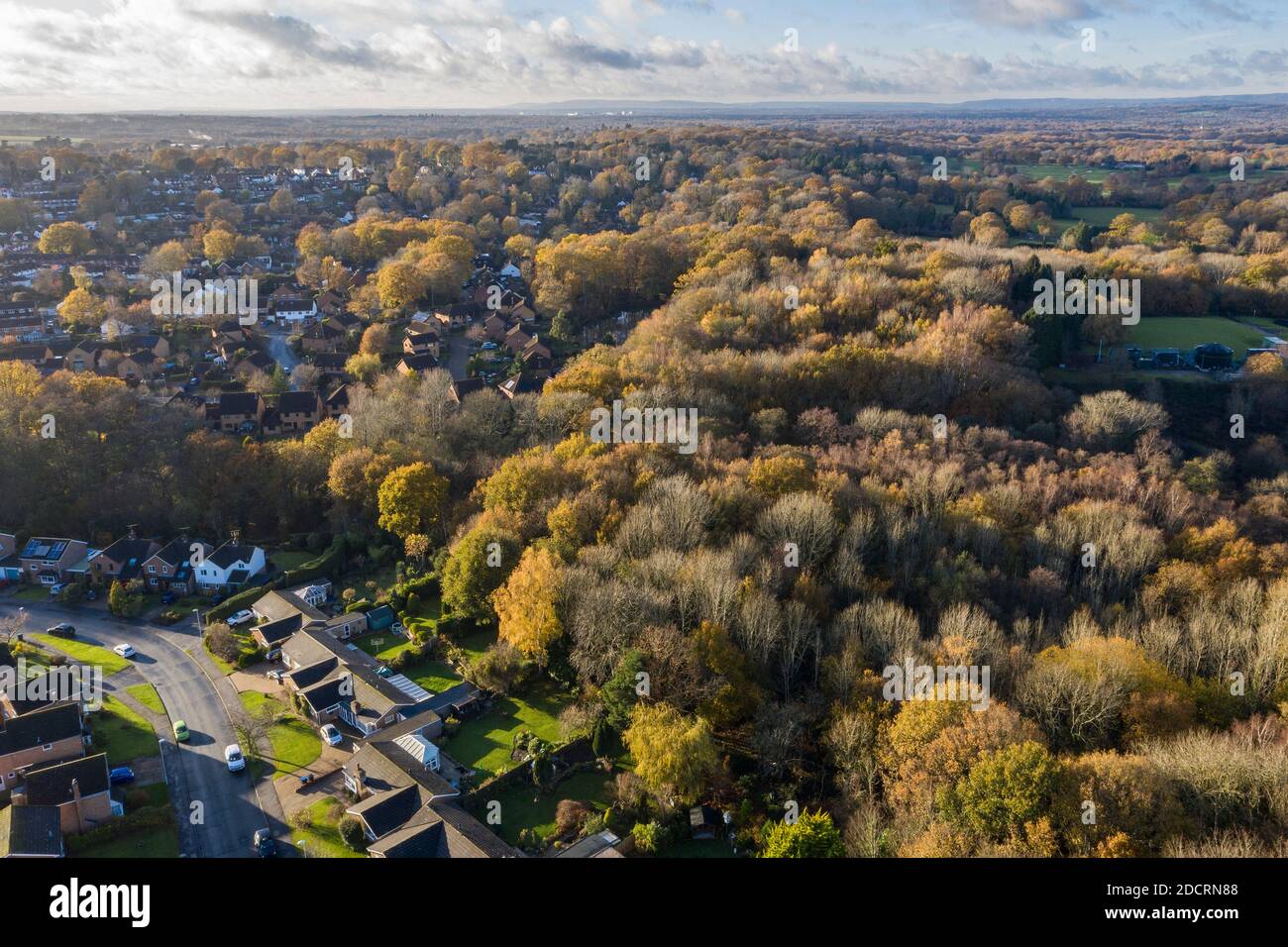 Drone aerial photos Hampshire Forest, showing levels of Forestation ...