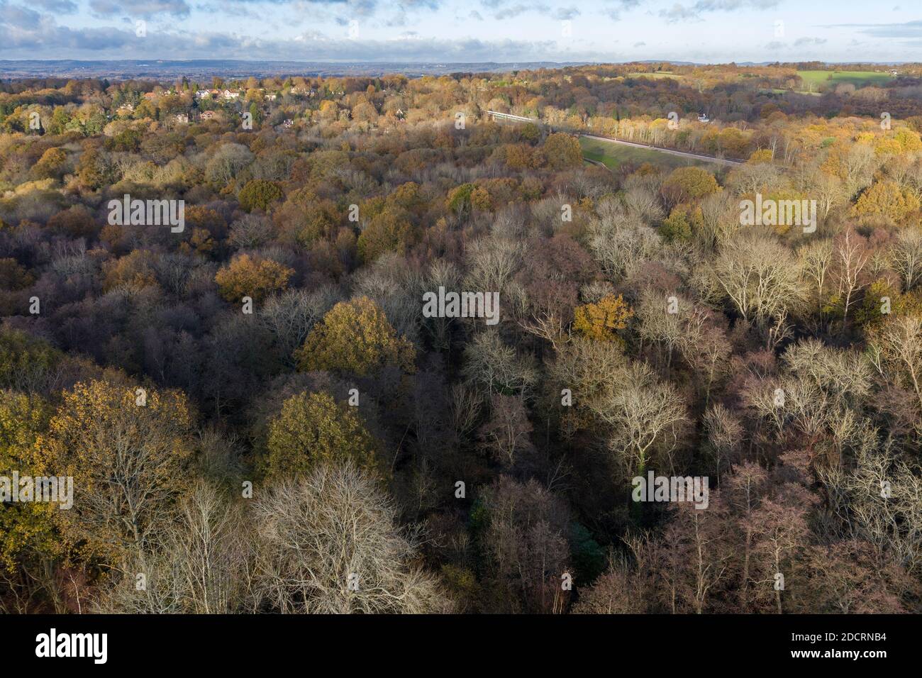 Drone aerial photos Hampshire Forest, showing levels of Forestation ...