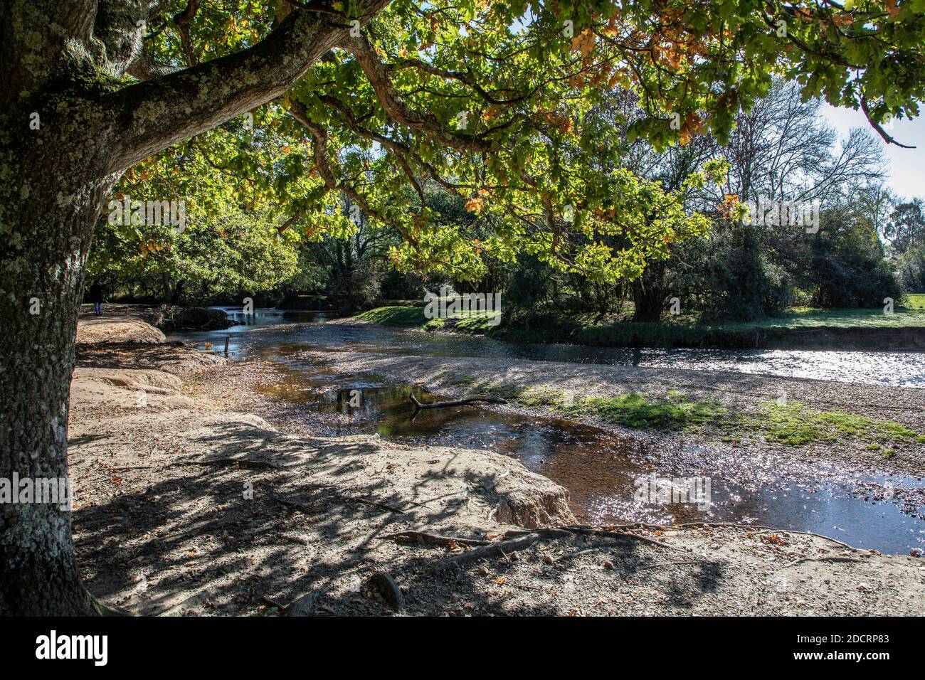 Sunny riverbank in hampshire hi-res stock photography and images - Alamy