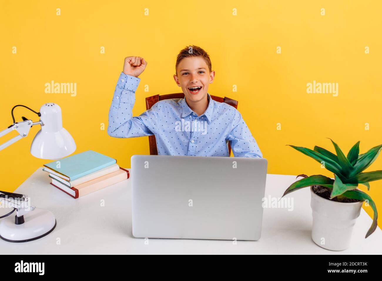 Online lessons for children. distance education for children. schoolboy ...