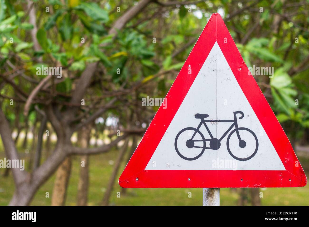 A cycle route ahead sign at a road in Corregidor Island, Philippines ...
