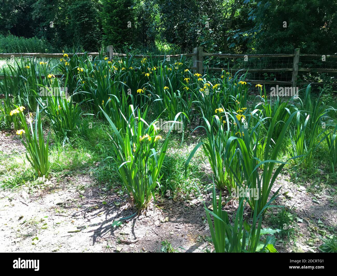 At the Park Stock Photo - Alamy