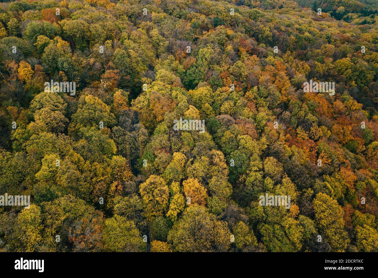 Aerial view beautiful autumn nature hi-res stock photography and images ...