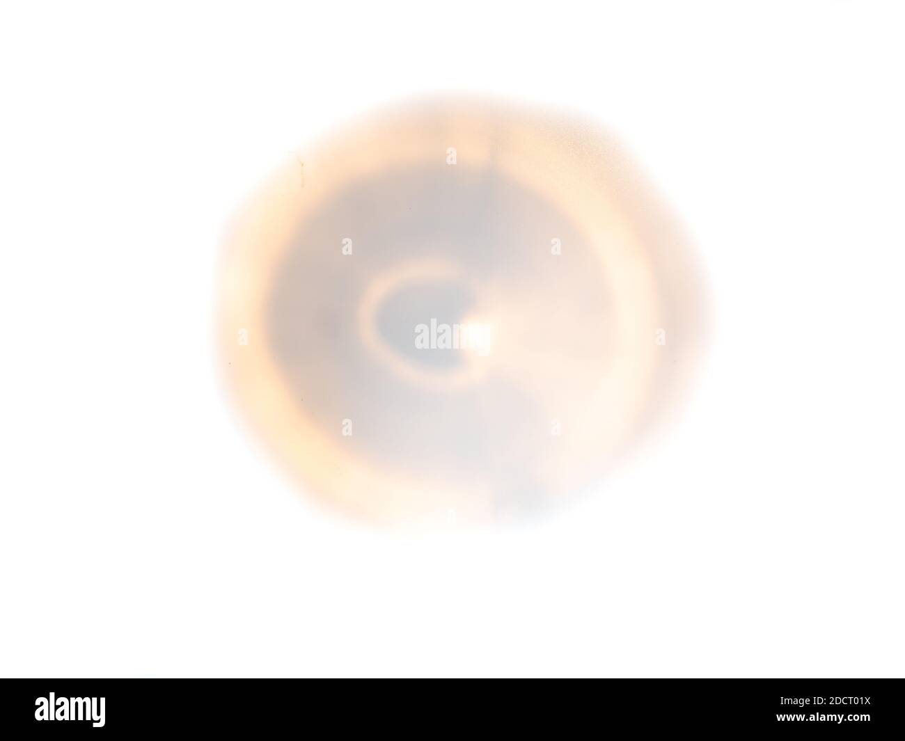 Cones of light isolated on white background Stock Photo - Alamy