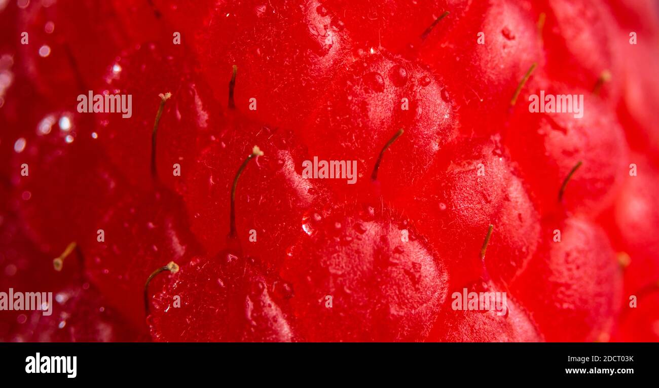 Fresh raspberry extreme close-up as background Stock Photo - Alamy
