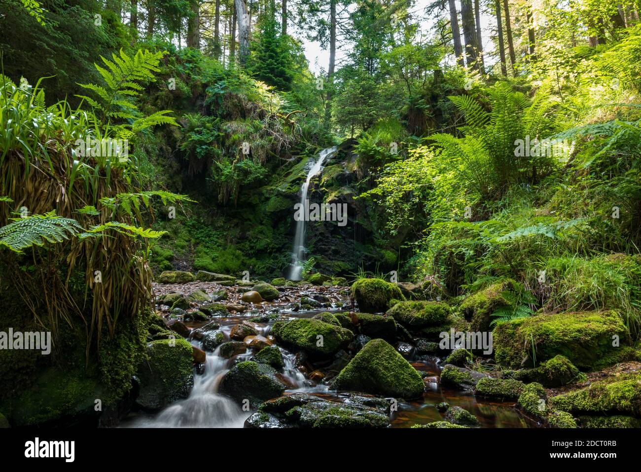 Hindhope Linn, Waterfall and trail Stock Photo - Alamy