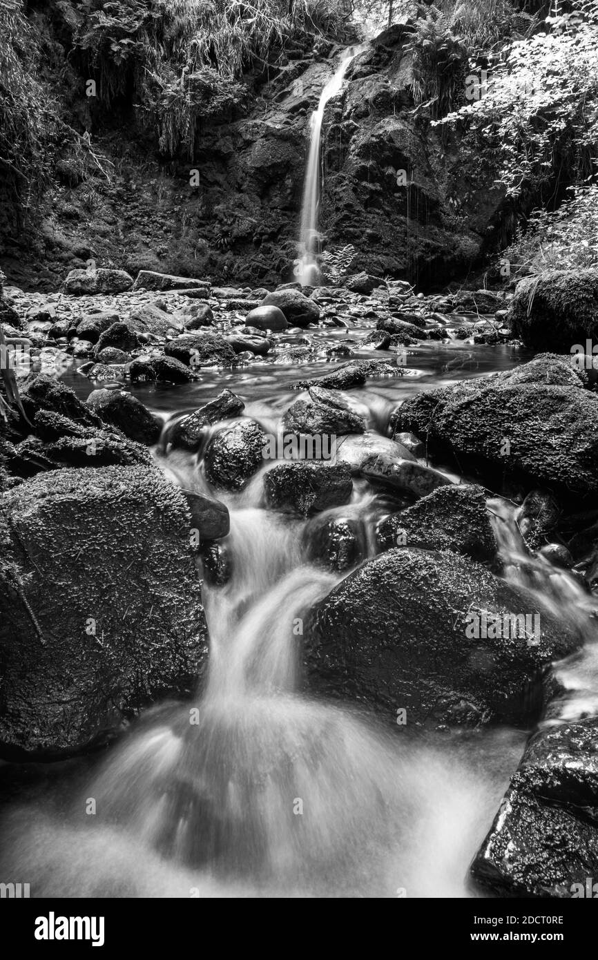 Hindhope Linn, Waterfall and trail Stock Photo - Alamy