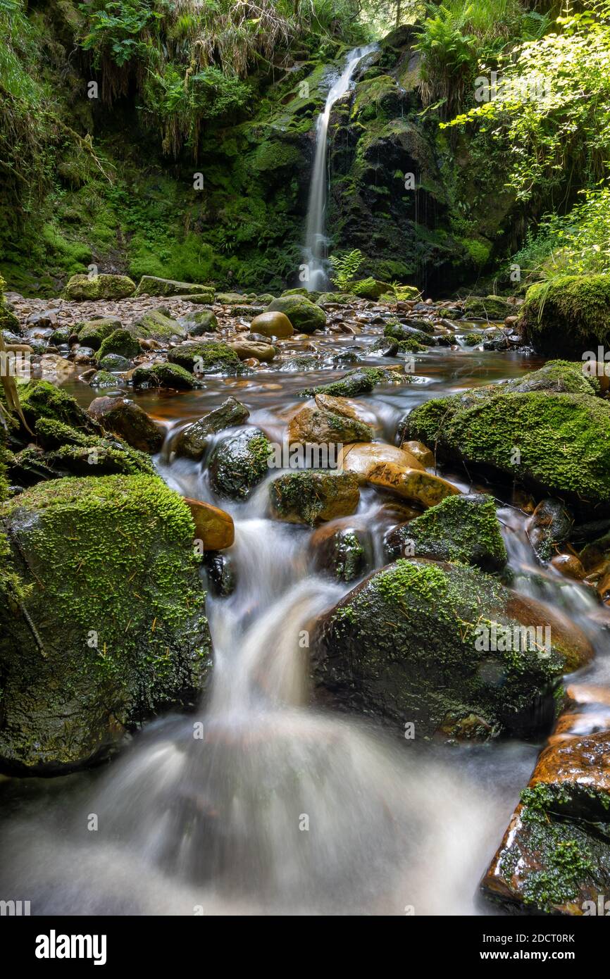 Hindhope Linn, Waterfall and trail Stock Photo - Alamy