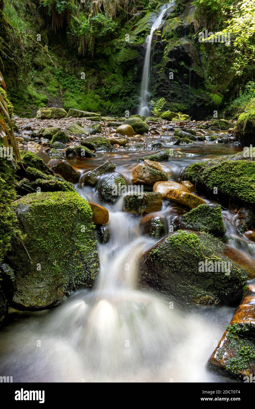 Hindhope Linn, Waterfall and trail Stock Photo - Alamy