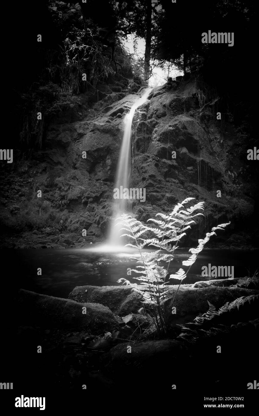 Hindhope Linn, Waterfall and trail Stock Photo - Alamy