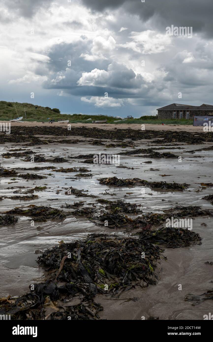 Water castle newton hi-res stock photography and images - Alamy