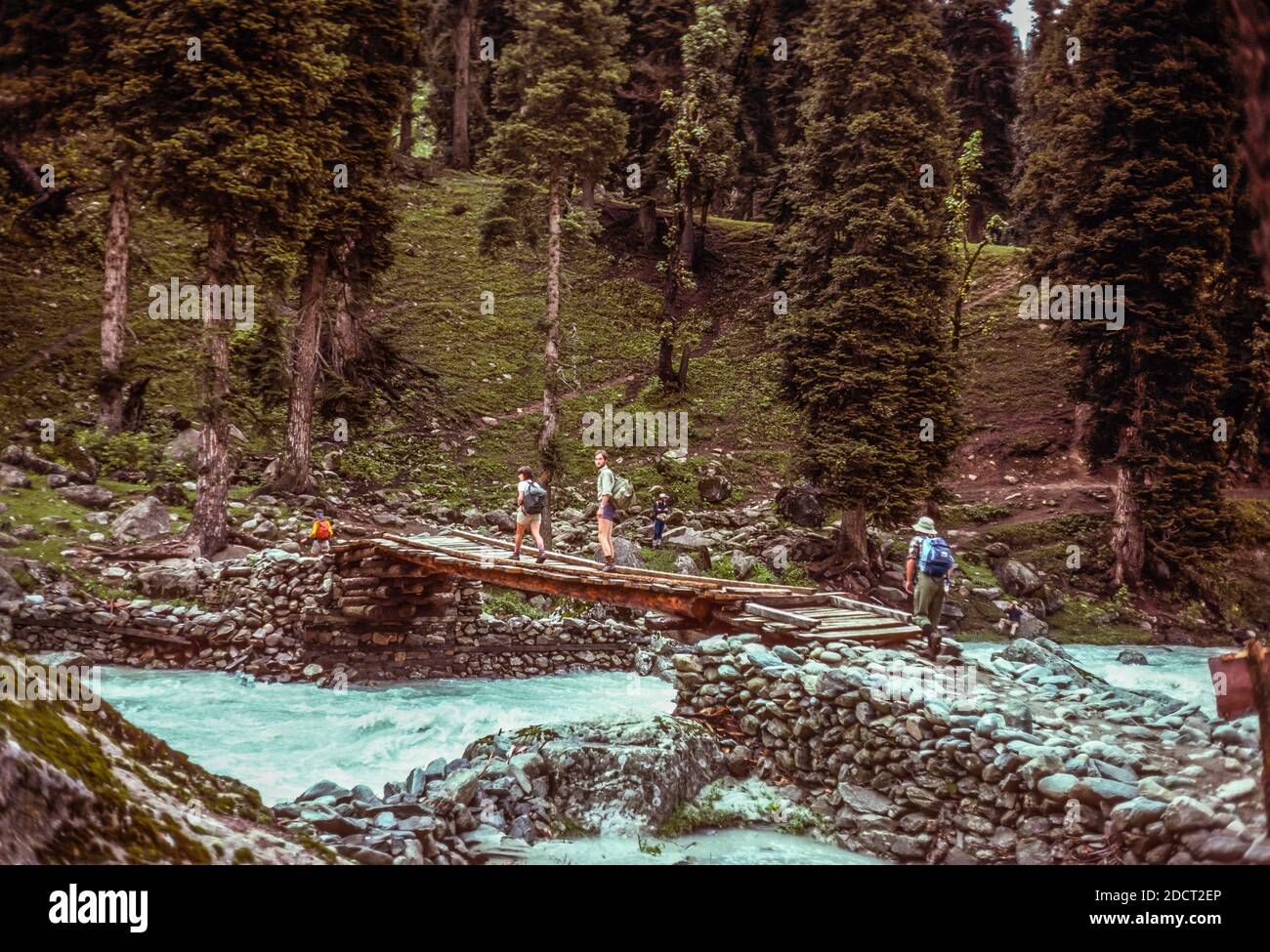 Crossing the Liddar River on a trek in Kashmir, India Stock Photo - Alamy