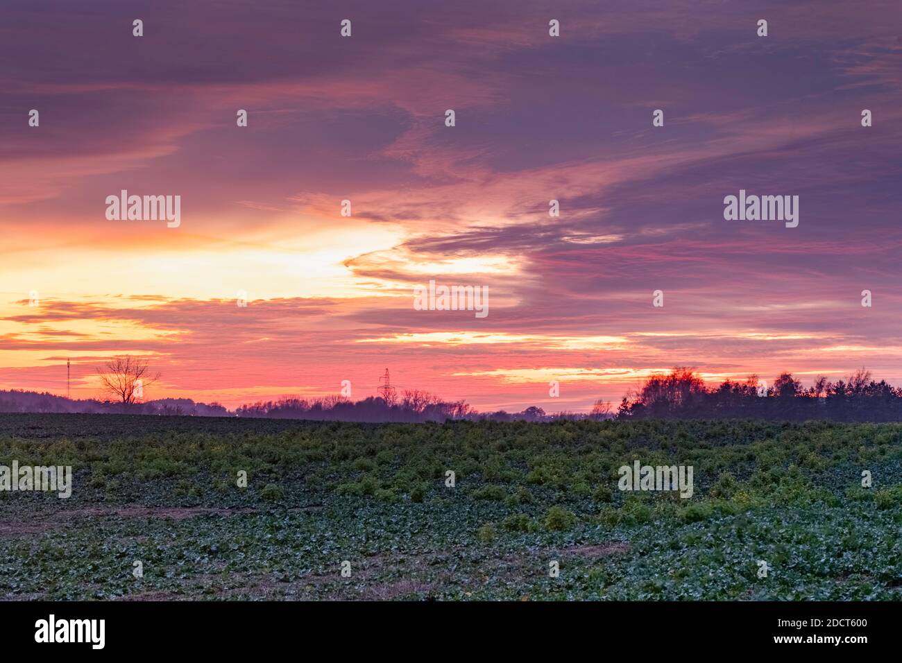 Dramatic colorful sky, before sunset, colorful clouds formations Stock ...
