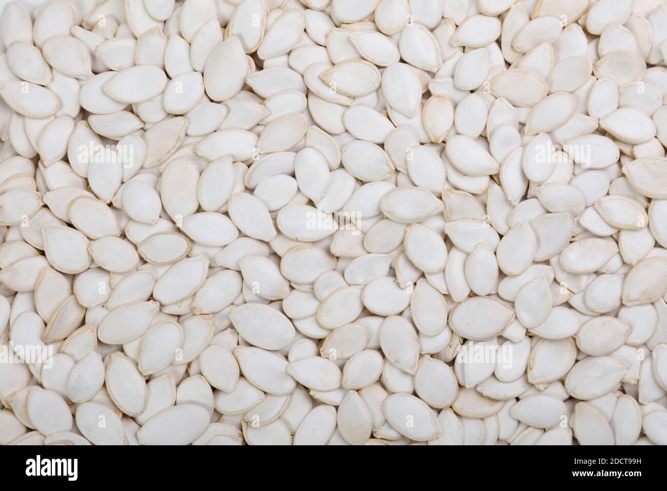 Texture pumpkin skin detail hi-res stock photography and images - Alamy