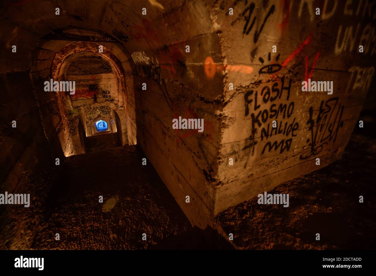 NO WEB/NO APPS - Exclusive. (Text available) View of the upper backbone ...