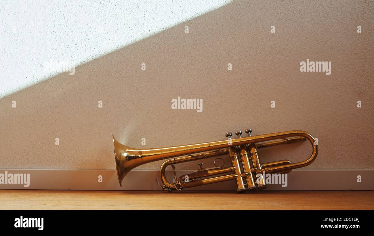 Side view of a gold trumpet instrument on a white wall background Stock ...