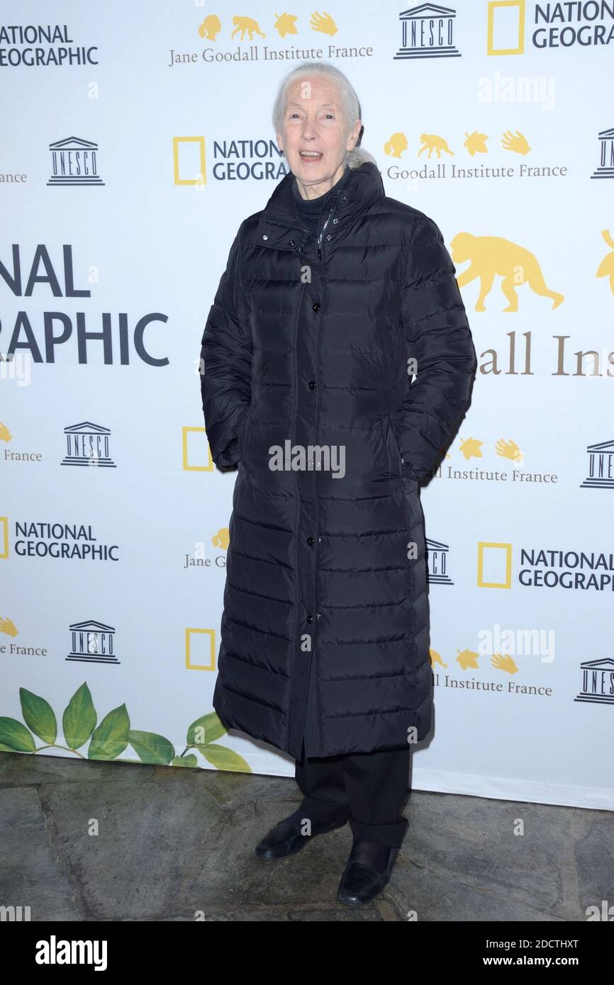 Dr Jane Goodall assiste a la projection du documentaire Jane a propos ...