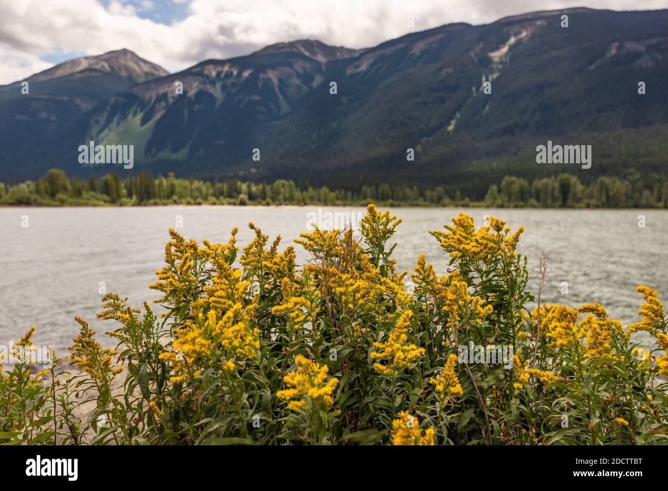 Highway 16 prince george hi-res stock photography and images - Alamy