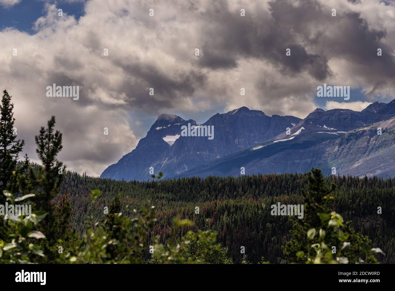 landscape shot over the route Prince George to Jasper, Canada Stock ...