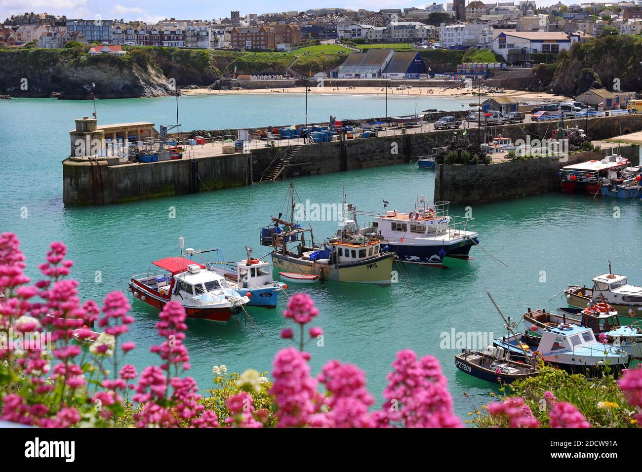 Fishing boats in Newquay harbour, Cornwall UK Stock Photo - Alamy