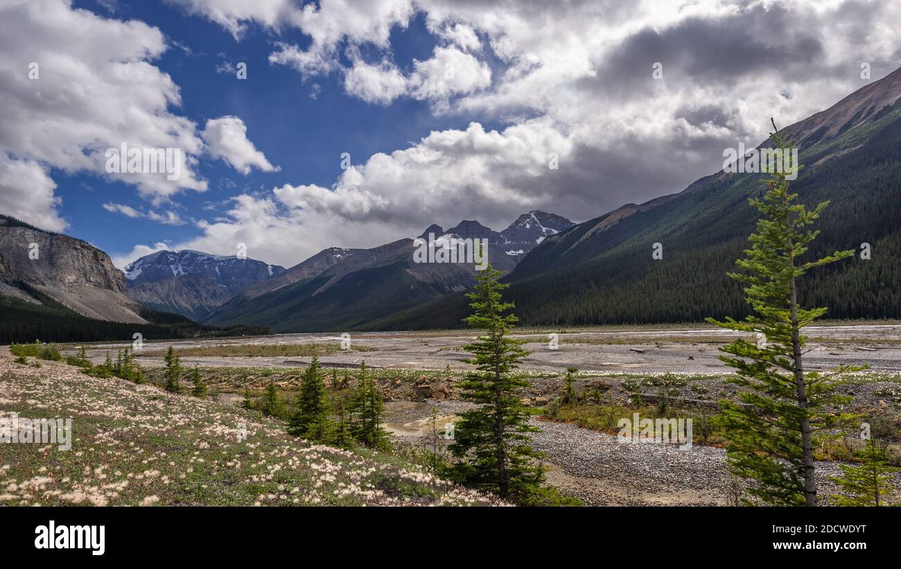 Highway 16 prince george hi-res stock photography and images - Alamy