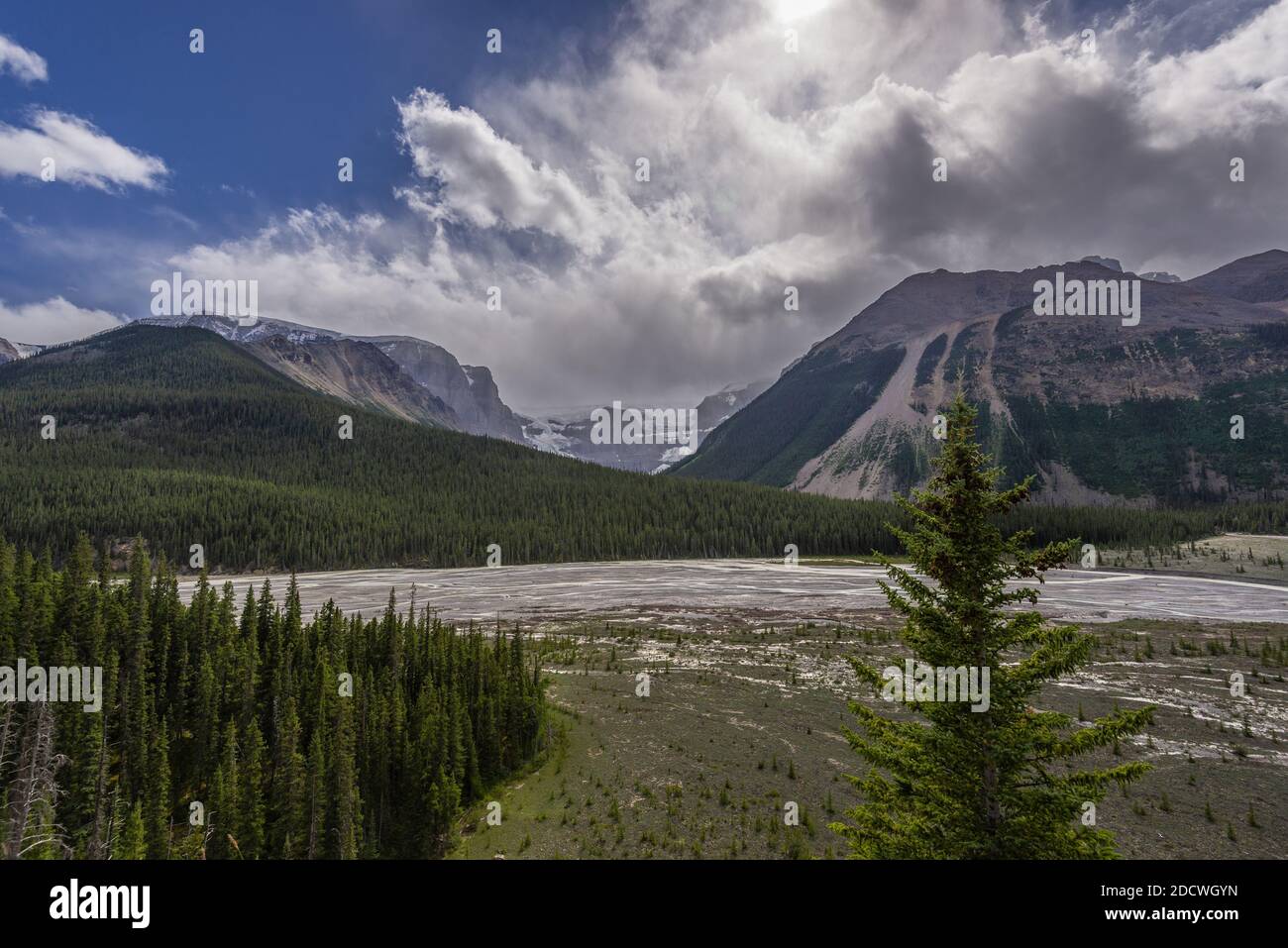 landscape shot over the route Prince George to Jasper, Canada Stock ...